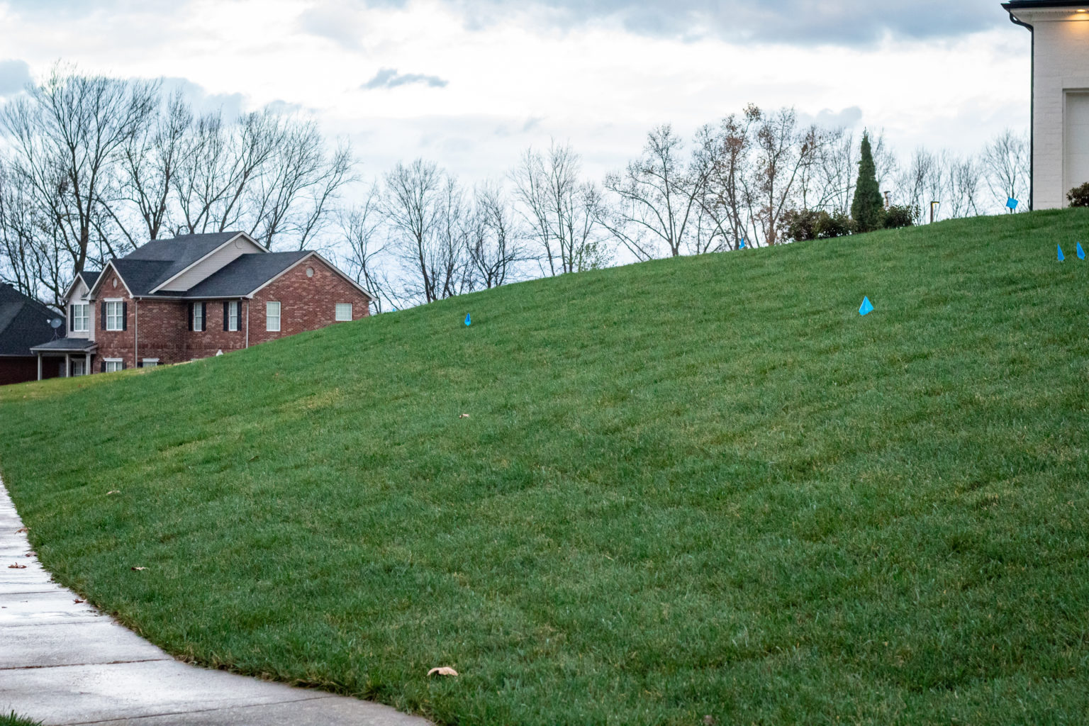 Lawn Maintenance – Evergreen Lawn Care – Owensboro, Kentucky