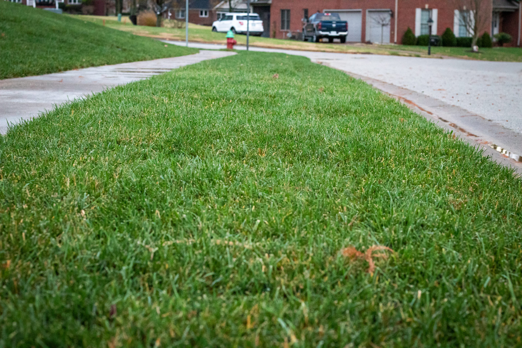 Lawn Maintenance – Evergreen Lawn Care – Owensboro, Kentucky